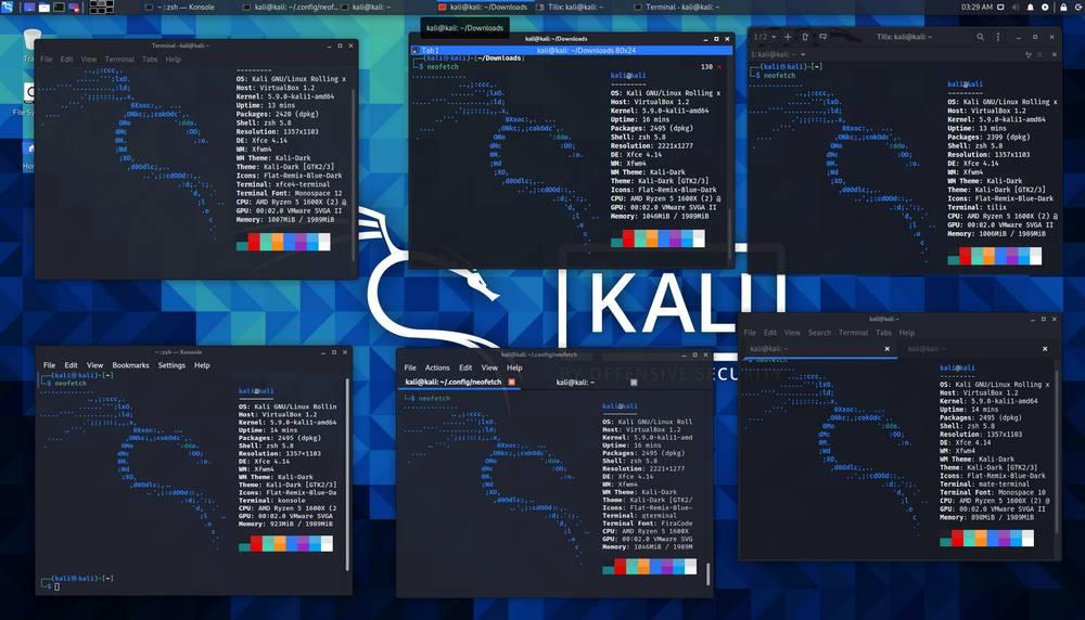 Debian ou Kali Linux : différences et quelle distribution choisir dans chaque situation